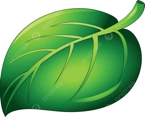 Isolated Leaf On White Stem Nature Vector Vector Stem Nature Vector