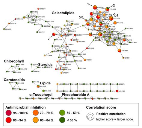 Bioactive Molecular Networking Of The Fractionated F Vesiculosus