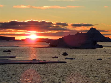 Are Insects Going Extinct What The Latest Trend In Search Means For