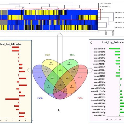 The Distribution Of Mirnas Between Leaf And Root Tissues Obtained From