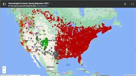 Hummingbird Central Migration Map 2024 Daveta Shauna