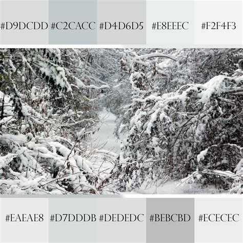Shades Of White And Names With Hex Rgb Color Codes