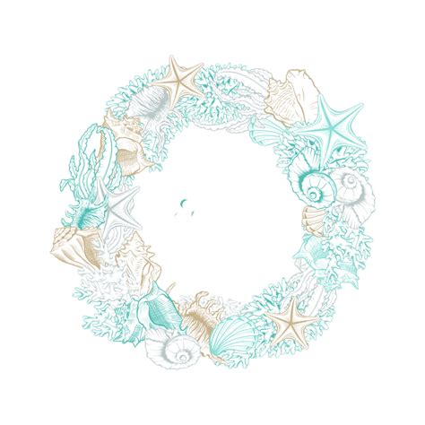 Seashell Isolated Vector Art Png Seashells Isolated Vector Round