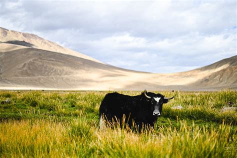 Untitled Jeffrey Schipper Flickr