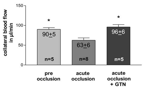 Quantification Of Blood Flow In Main Collateral Artery Rudimental