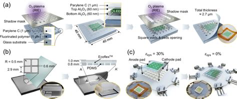 Advancing Stretchable OLED Displays Enhancing Wearable Tech And Health Devices Display Daily