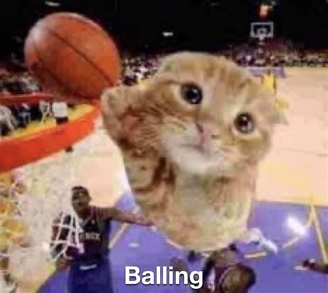 Bingus Appreciation R Bingus