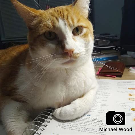 Amber Carnes Posted On Linkedin