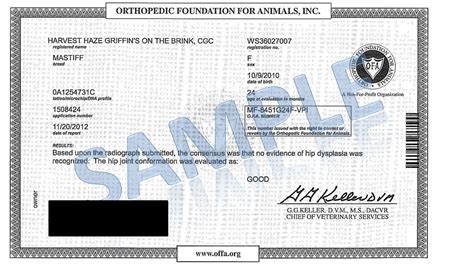 What Is Dog Ofa Testing