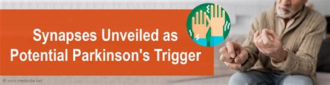 Parkinsons Disease Could Synapse Dysfunction Be The Key