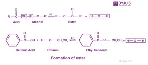 Ester Definition Structure Esterification Along With Properties And Uses