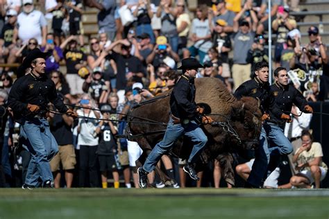 Colorado Buffaloes Release 2021 Football Schedule The Ralphie Report
