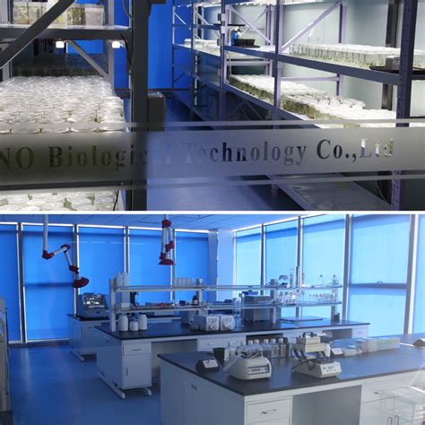 Lyophilization Taq Enzyme Dna Polymerase Mix Pcr Kits Ivd Raw Material