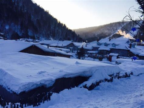东北冬天森林图片 东北森林雪 东北森林图片大全 大山谷图库