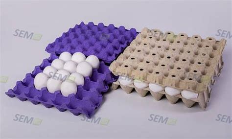 Eggs Packaging Sustainable Pulp Fiber Xact Prepack