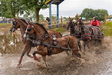 Mareike Harm Ger Foto And Bild Sport Wasser Tiere Bilder Auf