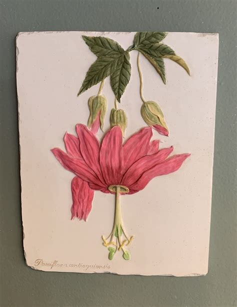 Passiflora Wall Plaque Set Of 2 Ibis And Orchid Design Inc