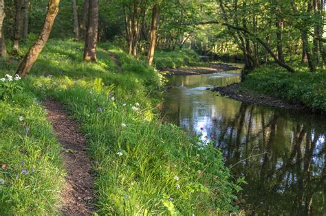 River Derwent Walk Hackness Walk North Yorkshire Walk