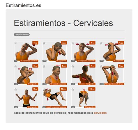 Pin By Violeta Maria On Estiramientos Daily Exercise Routines Neck