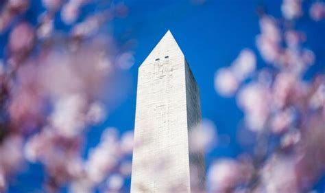 Falyn Stempler Journalists Daily Express Us