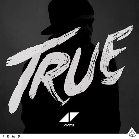 Avicii True Echte Leute
