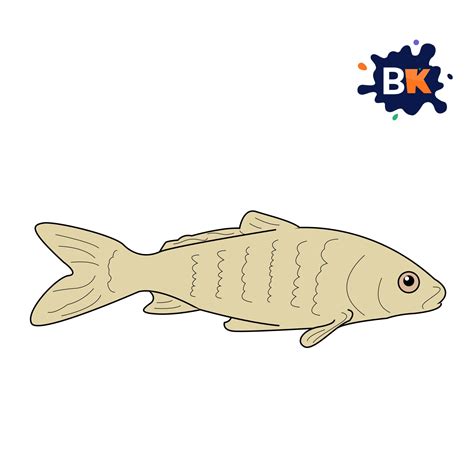 How To Draw A Carp In Few Easy Steps