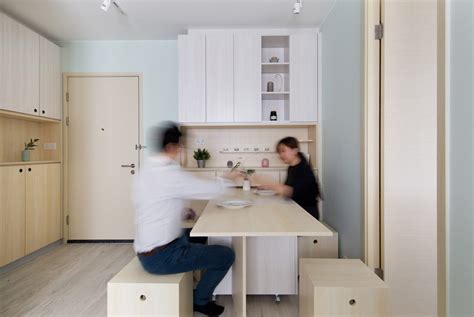 Pets Playground Apartment By Sim Plex Design Studio Is Designed For