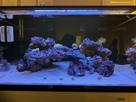Build Thread Innovative Marine 50 Aio Reef2reef