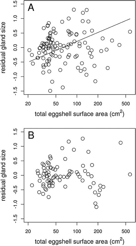 The Relationship Between The Relative Uropygial Gland Size Corrected