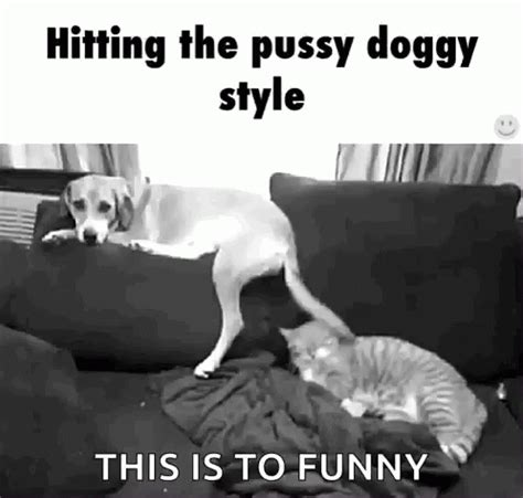 Dog Tailwagging  Dog Tailwagging Doggystyle Discover And Share S