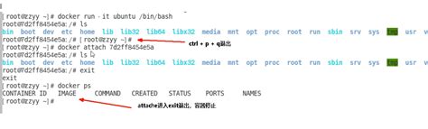 Docker容器命令docker 执行容器内命令 Csdn博客