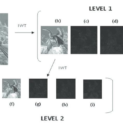 Resultant Of Two Level Iwt Performed On Bird A Input Image B To