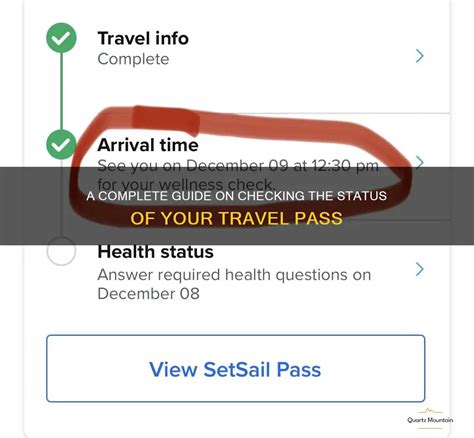 A Complete Guide On Checking The Status Of Your Travel Pass