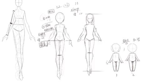 零基础如何自学人体体块？绘画初学者必备绘画自学指南！ 搜狐大视野 搜狐新闻