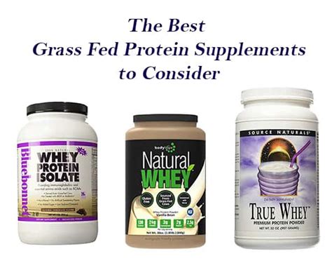 The Best Grass Fed Protein Supplements To Consider