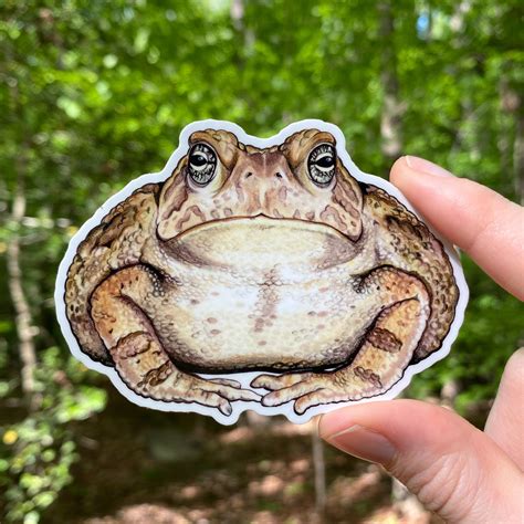 Fowlers Toad Weatherproof Vinyl Sticker Allison Stoiser Art