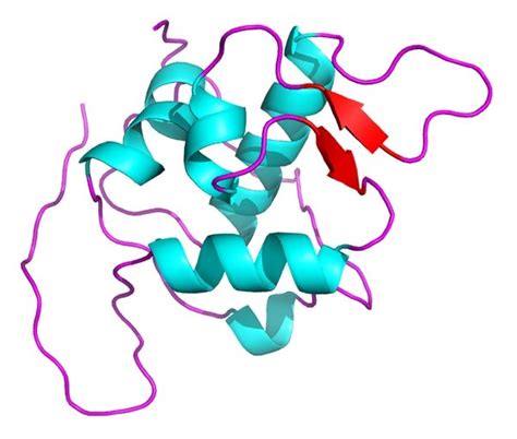 Structural And Molecular View For The Three Dimensional Modeled Download Scientific Diagram