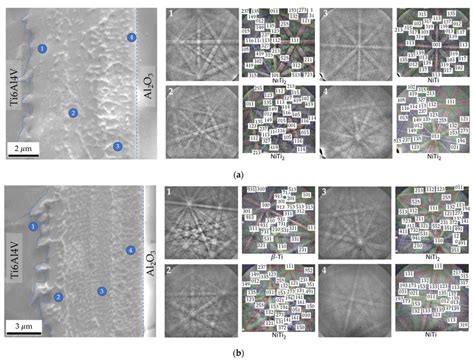 Sem Images And Ebsd Kikuchi Patterns Indexed As Niti Niti2 And β Ti