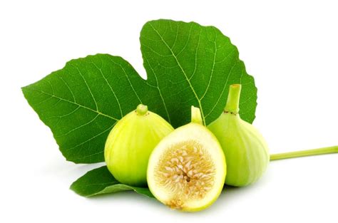 همه چیز در مورد انجیر و خواص آن طبع و ارزش غذایی