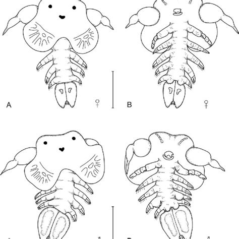 Map Of Lower Phongolo River In South Africa Mpumalanga Province As It