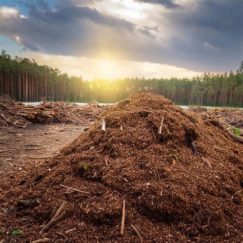 Commercial Bulk Mulch Brisbane Aged Forest Mulch Sales And Delivery