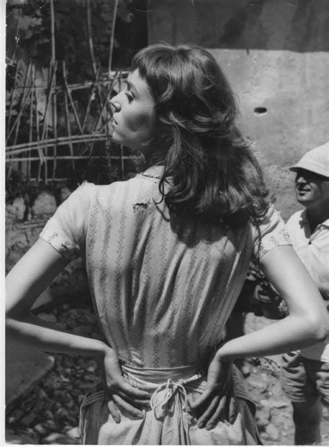 Unknown The Italian Actress Elsa Martinelli Vintage Photo 1950s