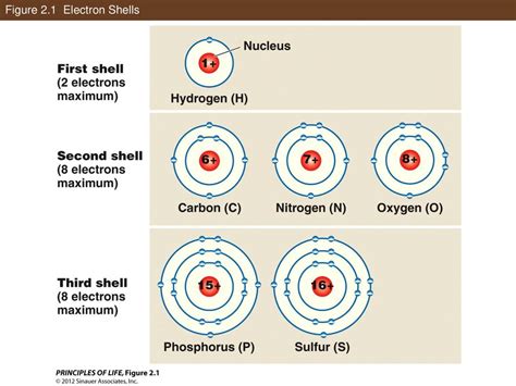 Life Chemistry And Energy Ppt Download