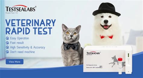 Rabies Antigen Rapid Test Kit For Veterinary Rabies Test Buy