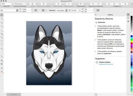 coreldraw 2019 +portable fullprogramlarindir: Yandex Görsel'de 1 bin ...