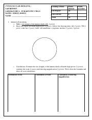 Lab Eukaryotic Cell Lab Report Pdf CYTOLOGY LAB BIOL L LAB REPORT LABORATORY