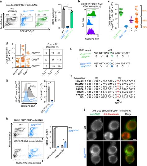 Isolation And Characterization Of The Il2ramutmut Mouse Model A Lymph Download Scientific