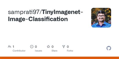 GitHub Samprati TinyImagenet Image Classification