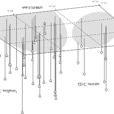 Principal Coordinate Analysis Based On 51 Morphological Characters Of