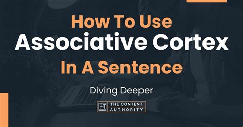 How To Use Associative Cortex In A Sentence Diving Deeper